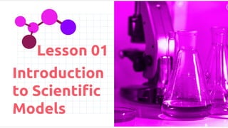 Grade 7 Lesson 1 Introduction to scienctific models | PDF