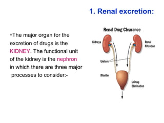 Lectures 15 Excretion of drug & Enterohepatic Circulation | PPT