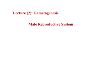 Embryology_Gametogenle_reproductive.pptx | Infertility | Reproductive ...