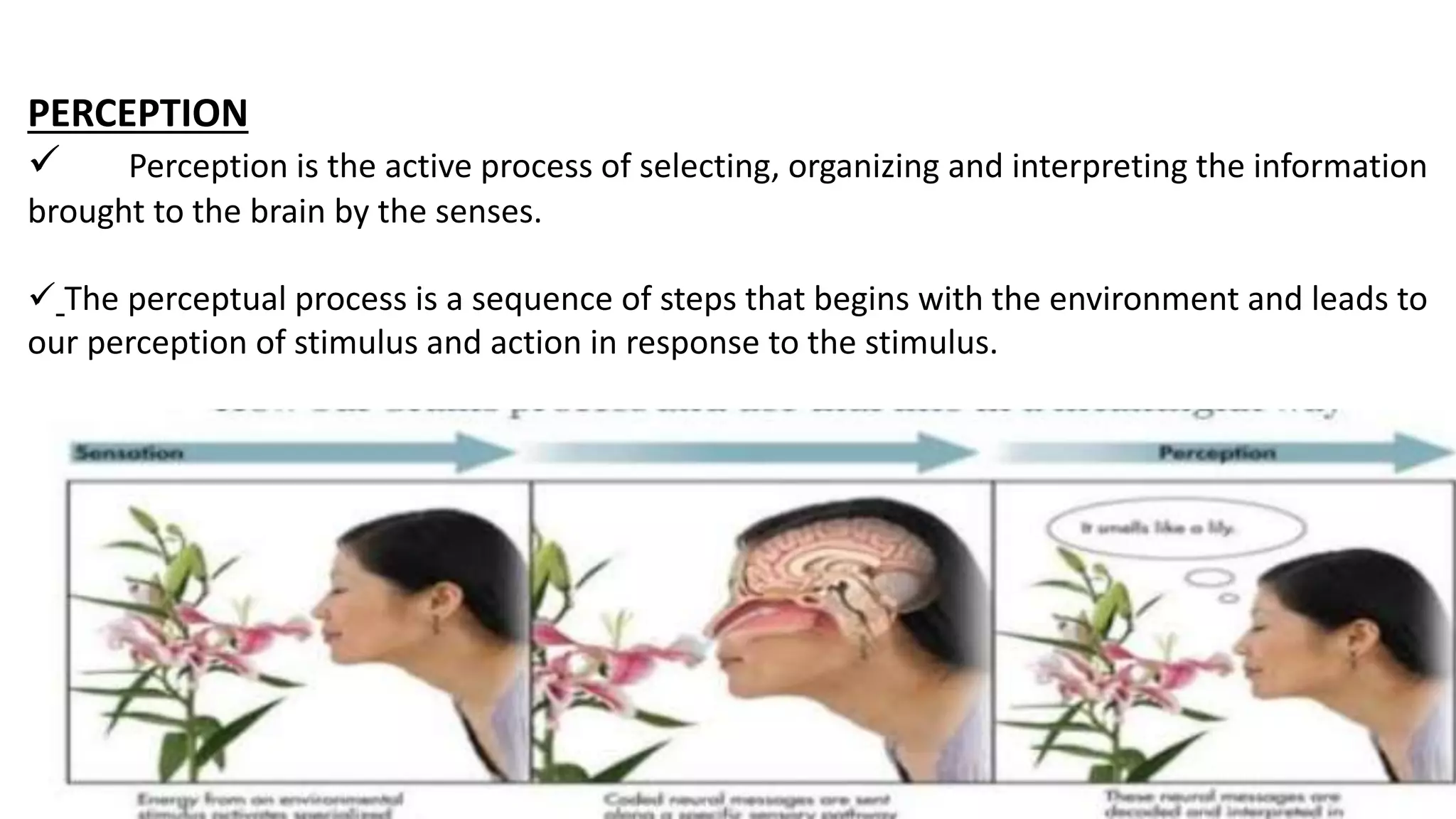 Lecture Sensation perception and attention.pptx