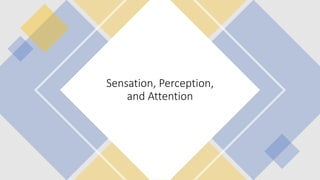 Lecture Sensation perception and attention.pptx
