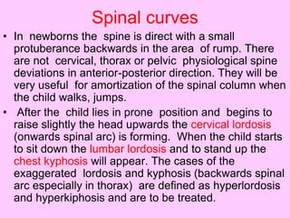 ,lecture skeletal.ppt