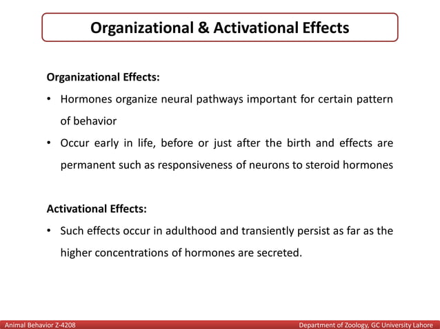 Presentation on Lecture Slides-05 Hormonal System.pdf