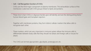 Carbohydrate metabolism. pptx | PPTX