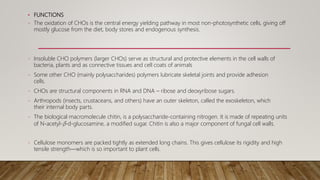 Carbohydrate metabolism. pptx | PPTX