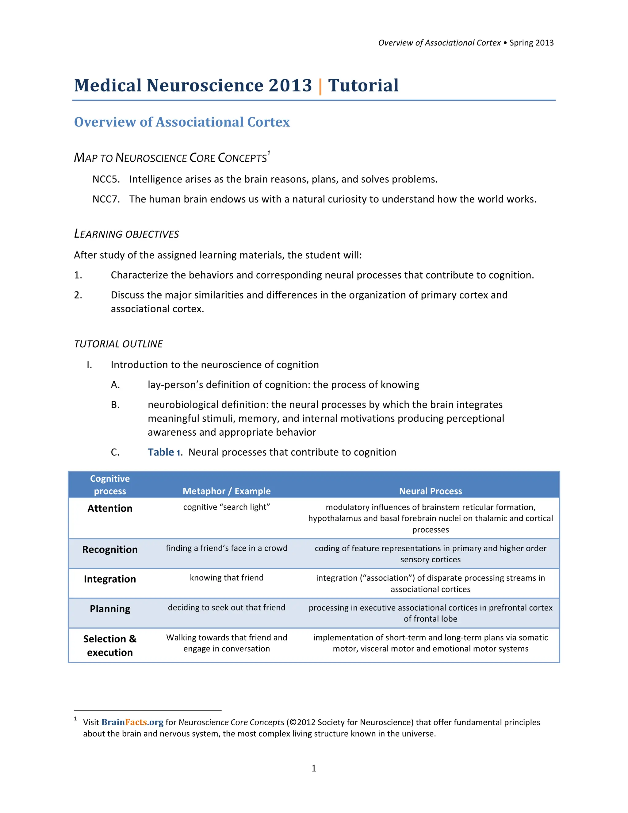 lecture of Associational Cortex in detail.pdf