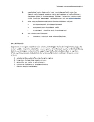 lecture of Associational Cortex in detail.pdf