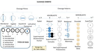 Lectures,Teaching plan, Development | PPT