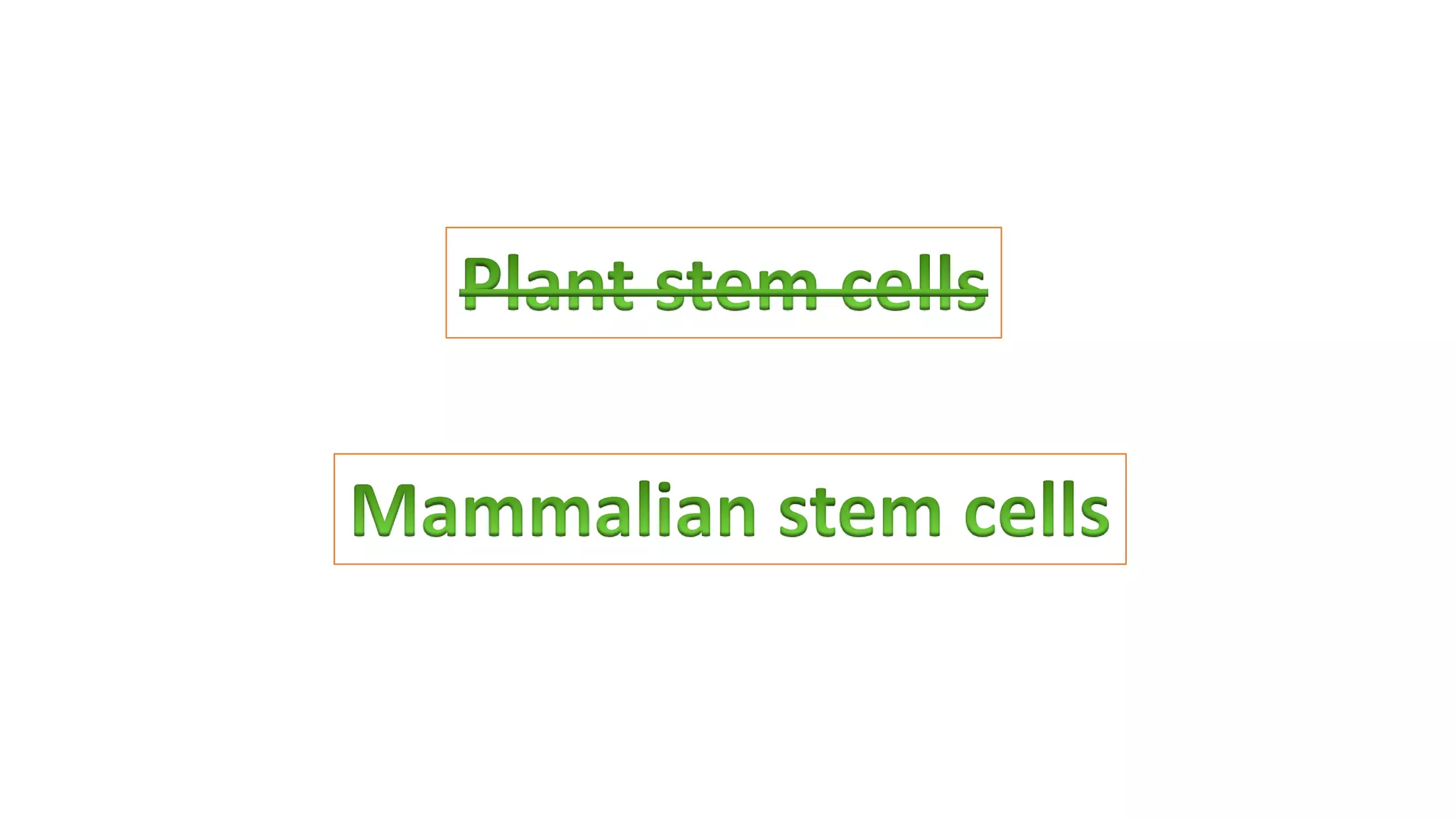 Lecture stem Cells.pptx