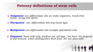 Lecture stem Cells.pptx
