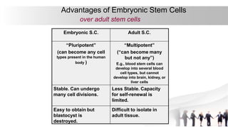 Lecture stem Cells.pptx