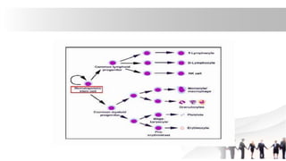Lecture stem Cells.pptx