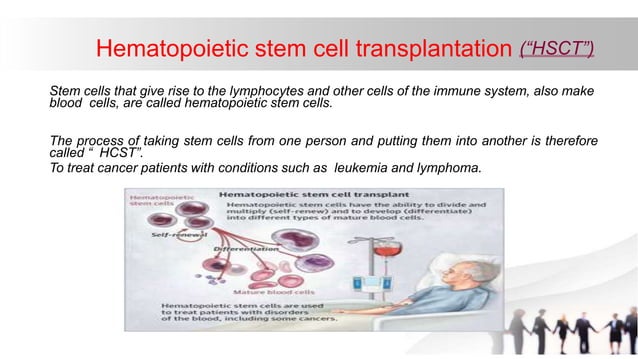 Lecture stem Cells.pptx