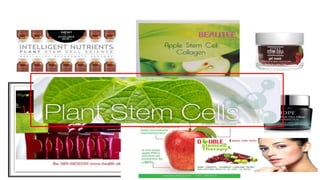 Lecture stem Cells.pptx