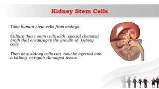 Lecture stem Cells.pptx