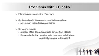 Lecture stem Cells.pptx