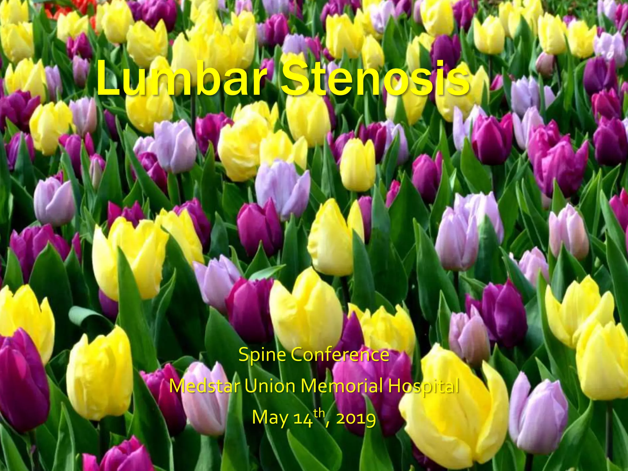 Lumbar Spinal Stenosis ULBD technique | PPTX