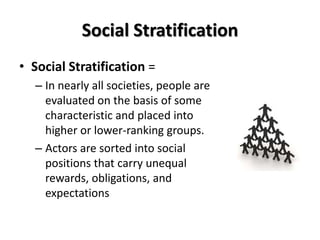 Stratification and Inequality | PPTX