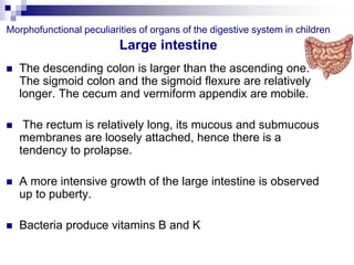 Lecture The digestive system.pdf