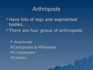 Lecture Three zoology classification living things.ppt