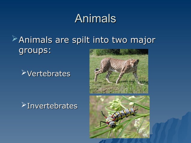 Lecture Three zoology classification living things.ppt