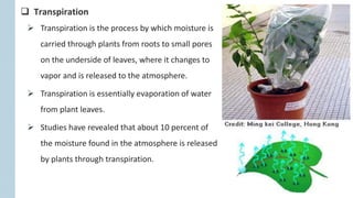 Lecture Three on evaporation and evapotranspiration | PDF