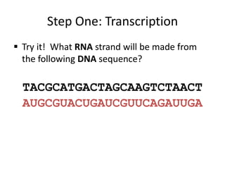 lecture_transcription and translation.pdf