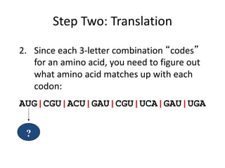 lecture_transcription and translation.pdf