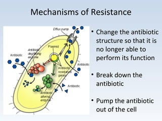 Antibiotic resistance,introduction, cause, mechanism and solution of ...