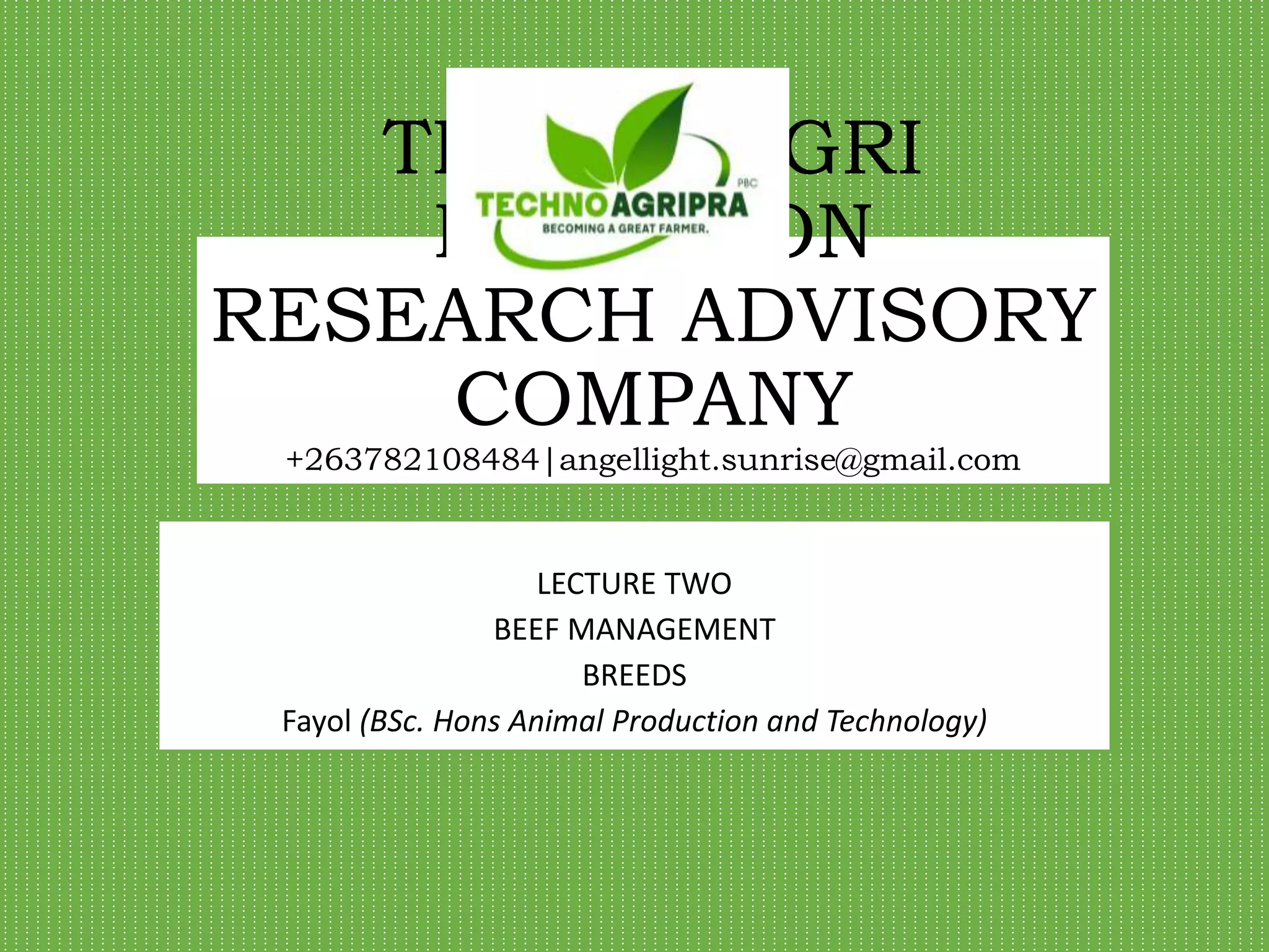 Lecture two beef production | PPTX