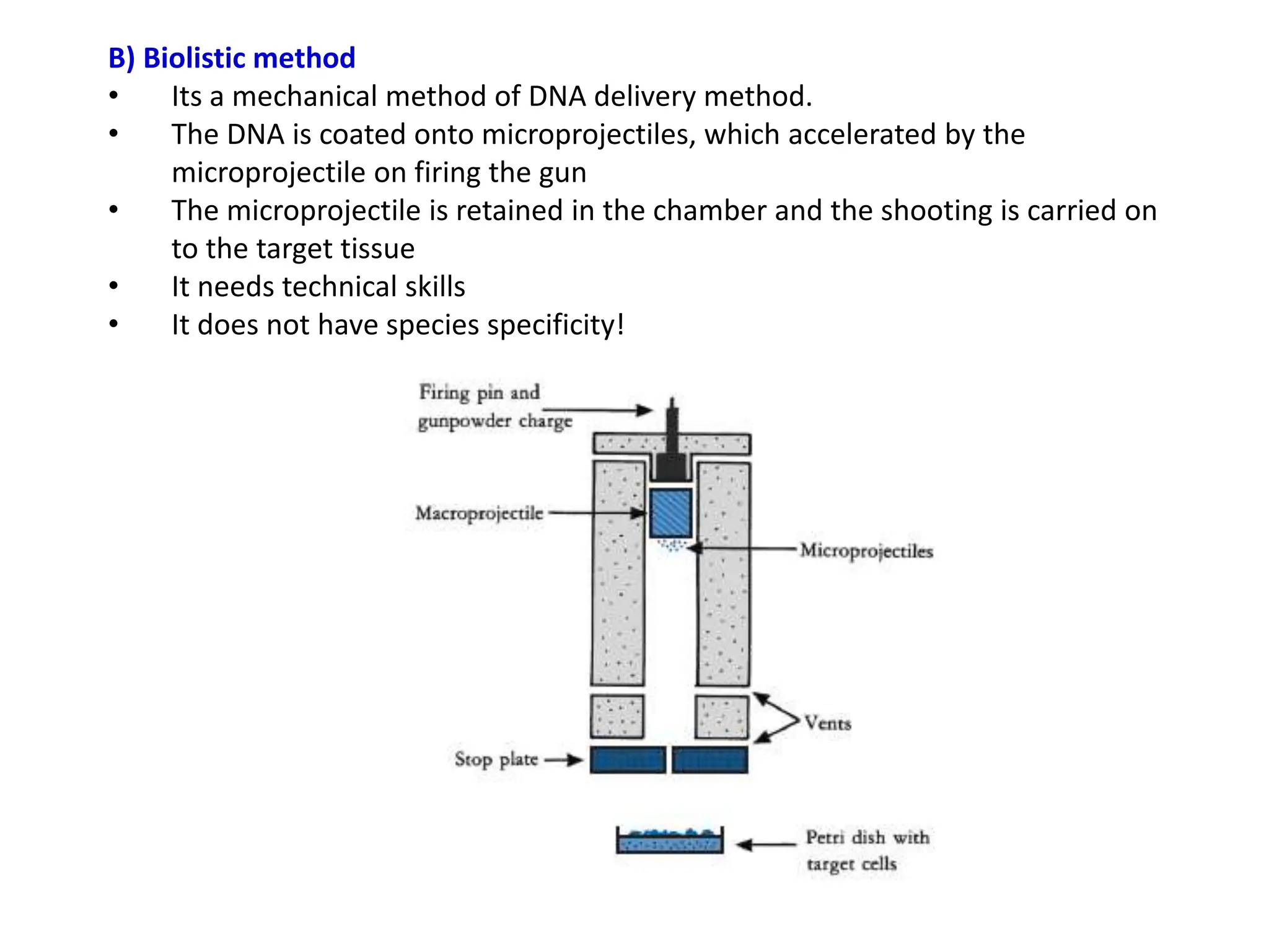 Lecture two Genetics engineering pptE.pptx