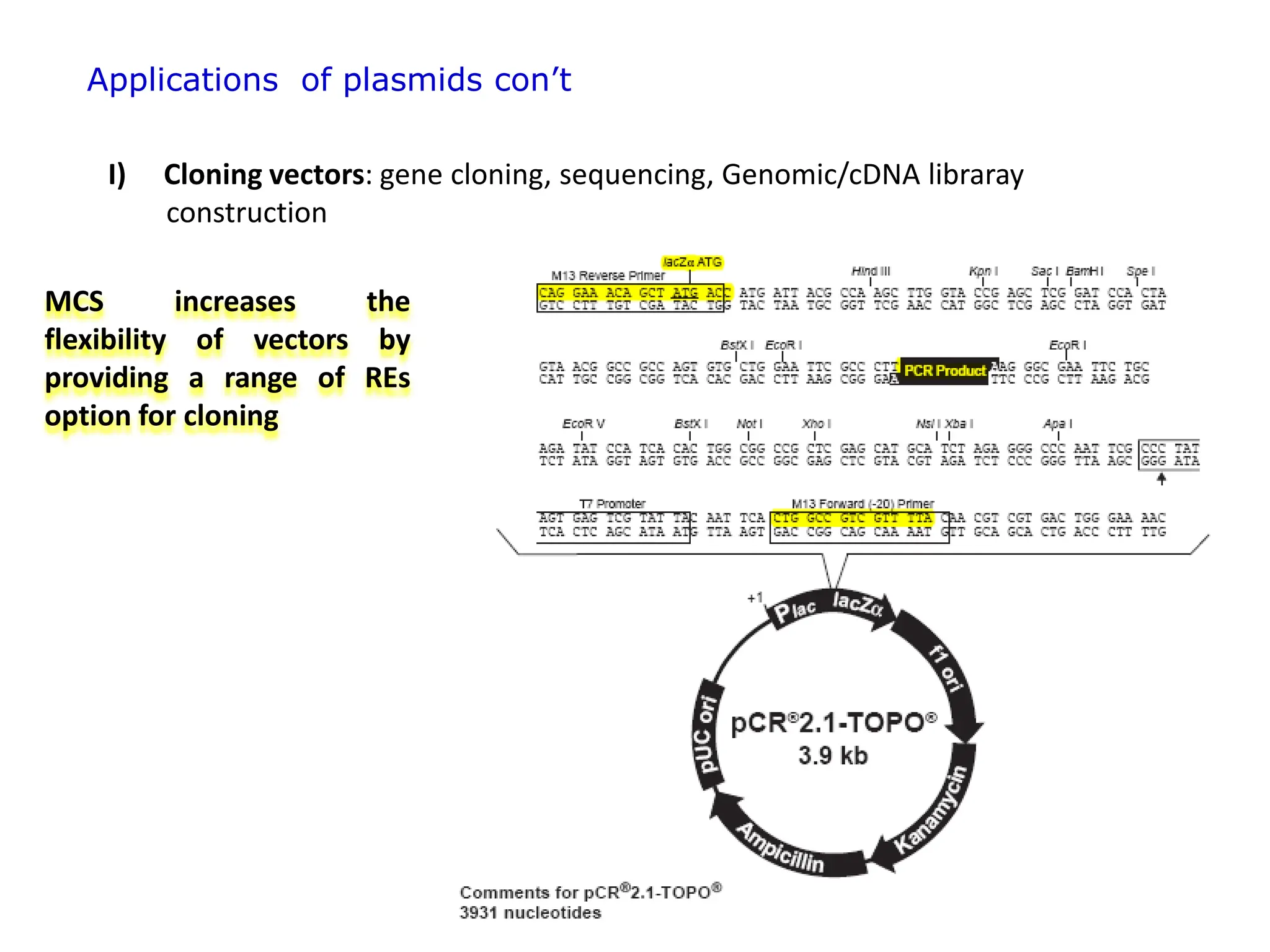 Lecture two Genetics engineering pptE.pptx
