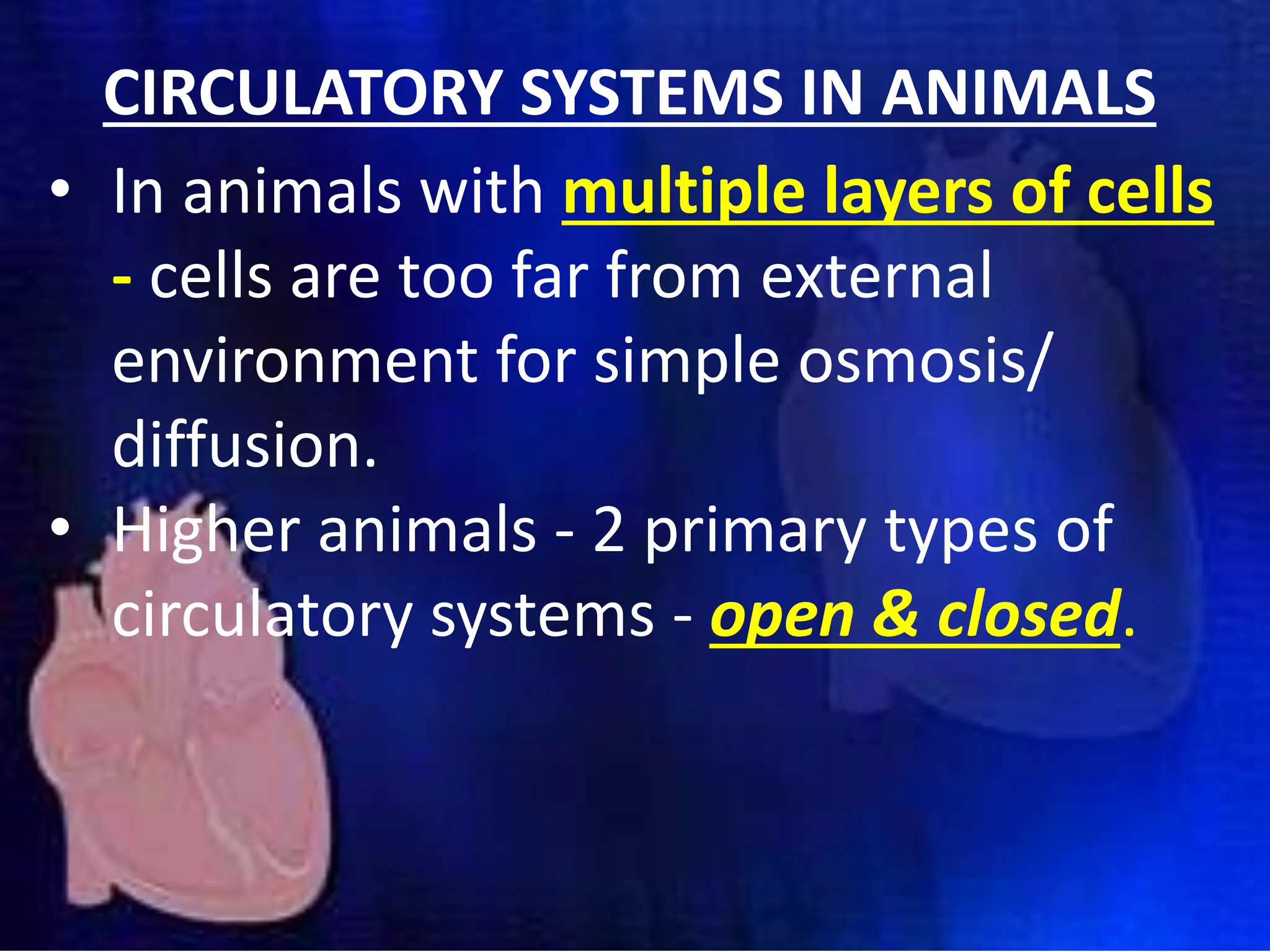 Lecture_Unit1_ Transport systems in Animals complete.pptx