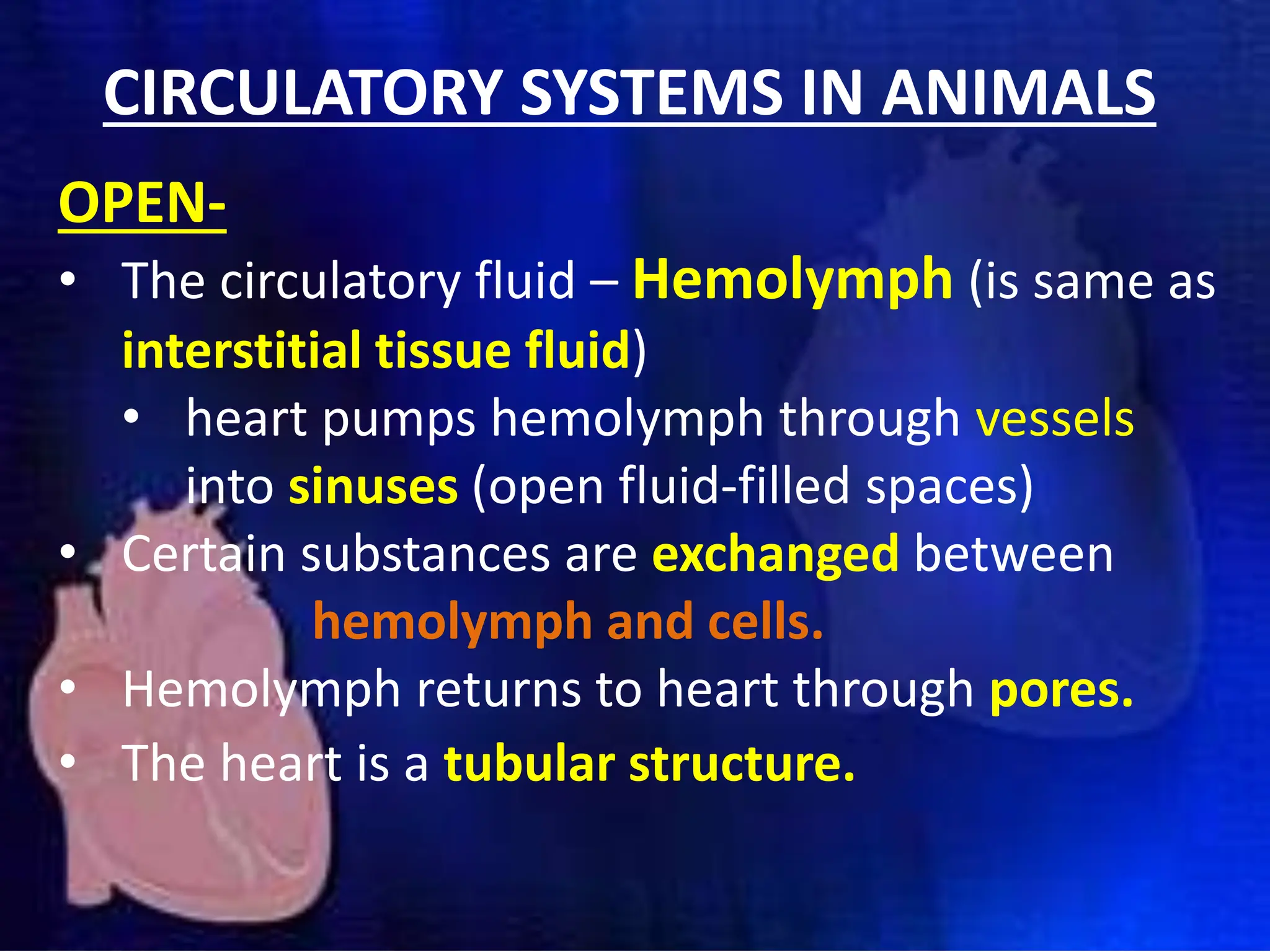 Lecture_Unit1_ Transport systems in Animals complete.pptx