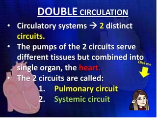 Lecture_Unit1_ Transport systems in Animals complete.pptx