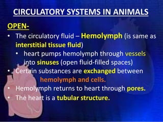 Lecture_Unit1_ Transport systems in Animals complete.pptx