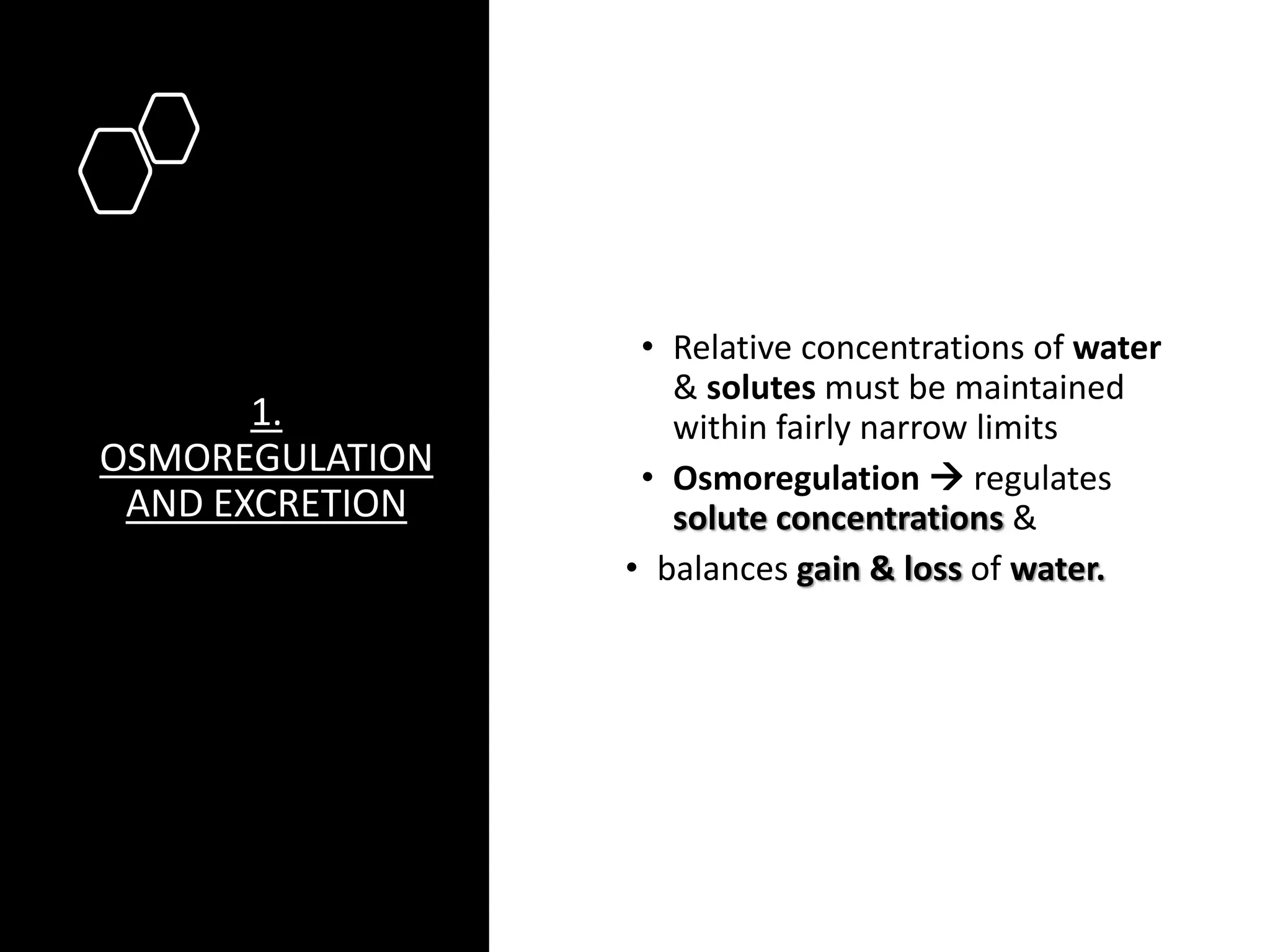 Lecture_Unit 2_Excretion and Osmoregulation Complete.pptx