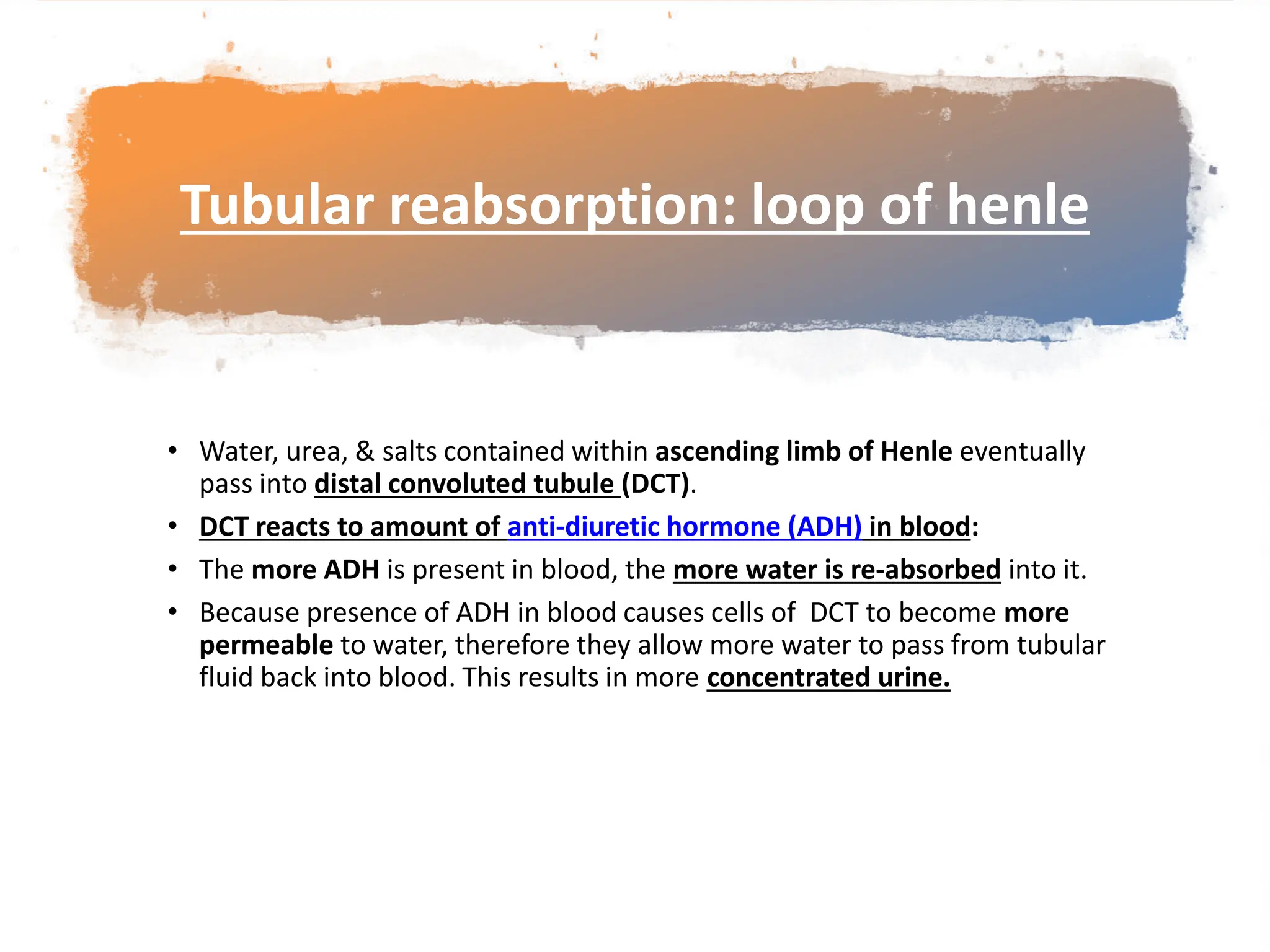 Lecture_Unit 2_Excretion and Osmoregulation Complete.pptx