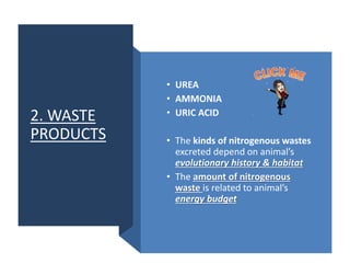 Lecture_Unit 2_Excretion and Osmoregulation Complete.pptx