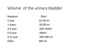 Lecture Urinary system.pptx