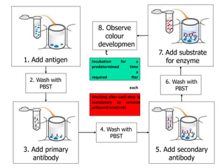 principle instrumentation and application of capillary electrophoresis ...