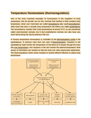 CApe biology unit 2-_homeostasis | DOCX