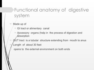 Lecture of anatomy of Digestive System.pptx