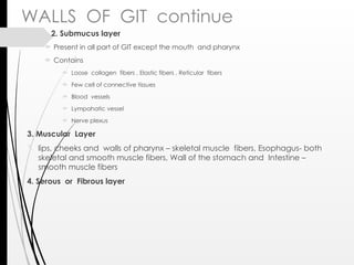 Lecture of anatomy of Digestive System.pptx