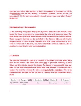 Cape biology unit 2-_the_kidney_and_osmoregulation | DOCX