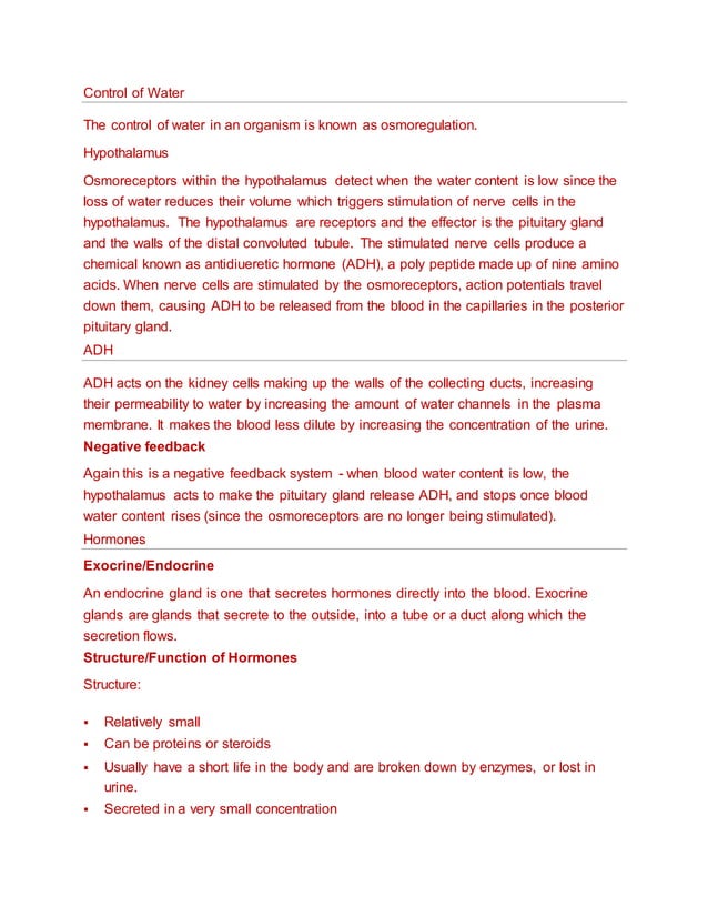 Cape biology unit 2-_the_kidney_and_osmoregulation | DOCX