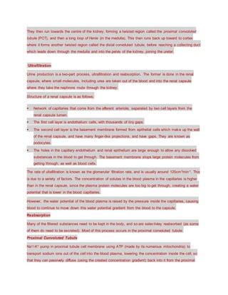 Cape biology unit 2-_the_kidney_and_osmoregulation | DOCX