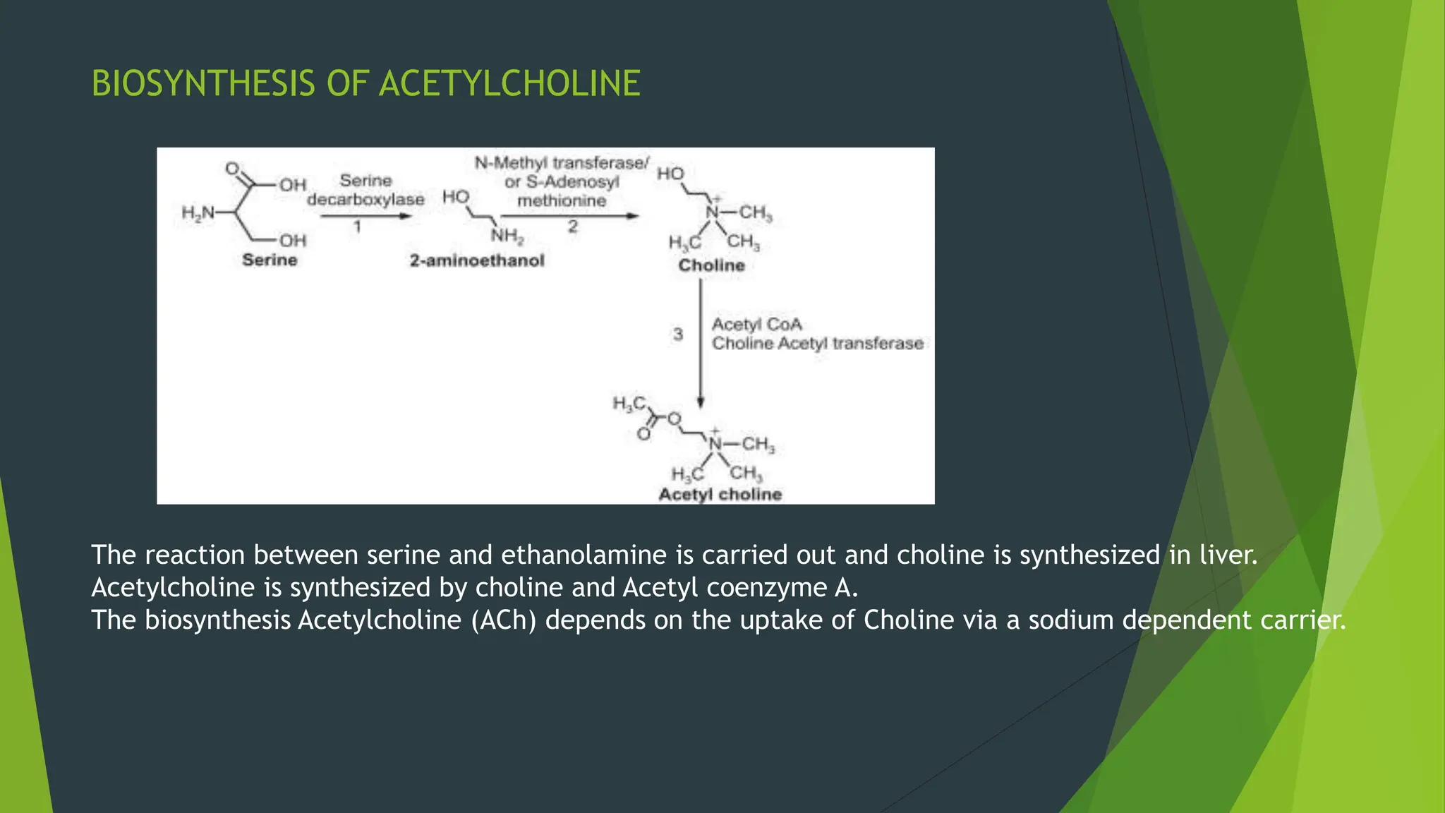 Medicinal chemistry -l-Second year-Fourth semester -Lecture VIII ...