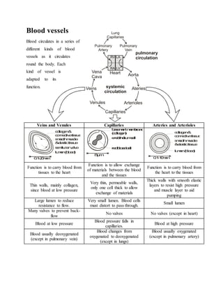 Cape biology unit 2 -_circulatory_system_in_humans_and_exercise | DOCX