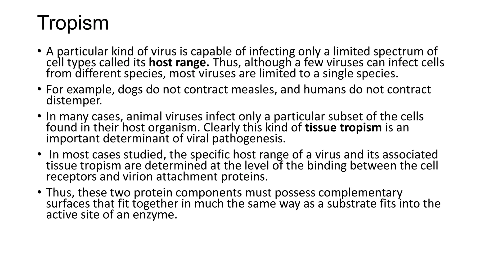 Viral Pathogenesis. | PDF